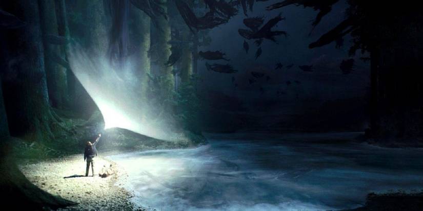 Harry Potter: 10 Things You Didn't Know About Wizarding Schools (That ...
