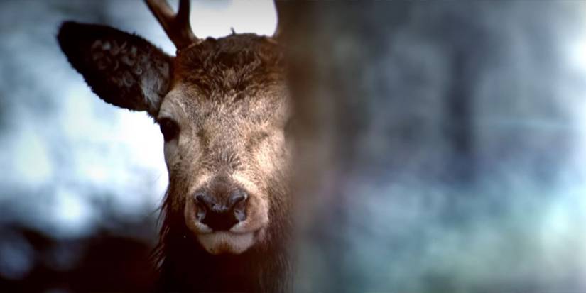 10 Things You Never Knew About Outlander's Theme Song & Intro