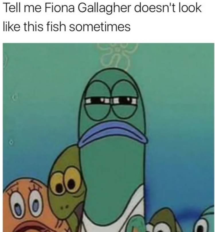 10 Shameless Memes That Are Too Hilarious For Words
