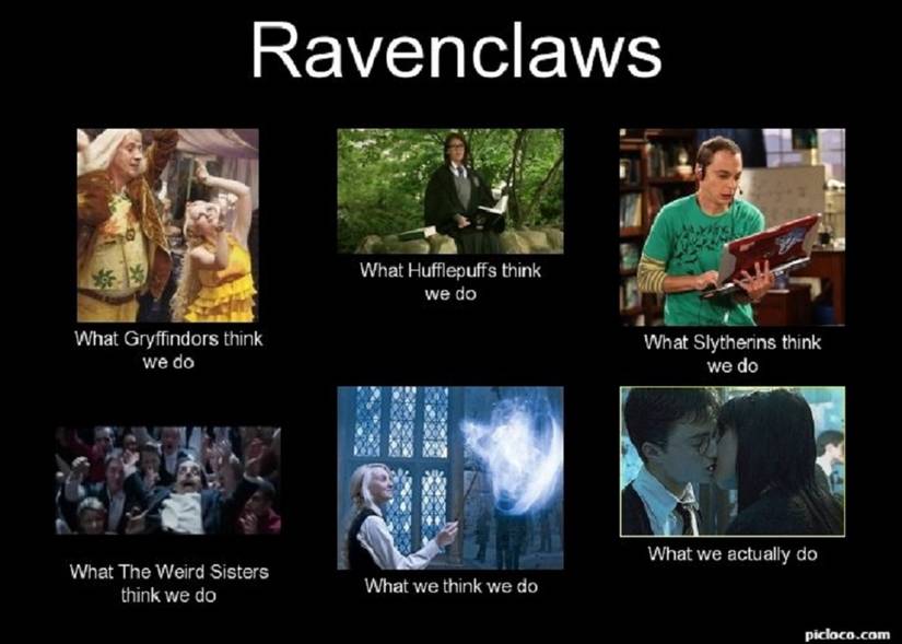 Harry Potter: 10 Ravenclaw Vs. Hufflepuff Memes That Are Too Hilarious ...
