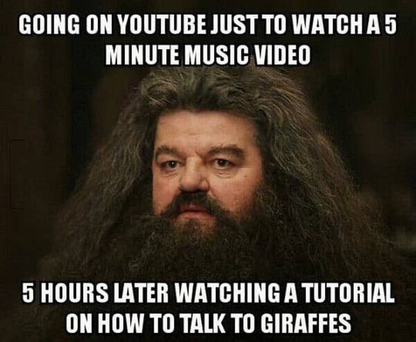 Harry Potter: 10 Hilarious Hagrid Logic Memes That Are Too Funny