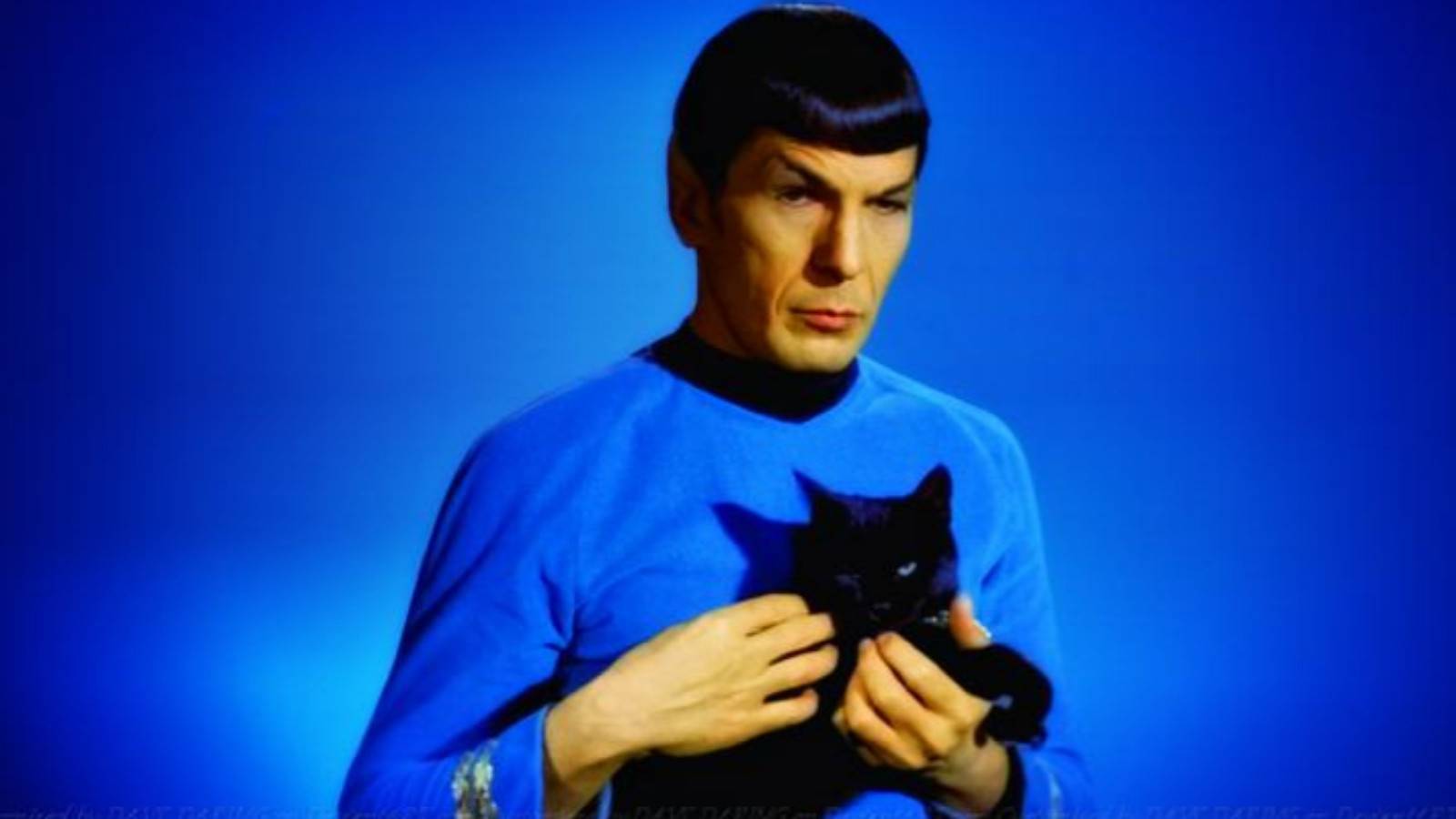 Star Trek: 10 Crazy Spock Fan Theories That Have Actually Been Confirmed