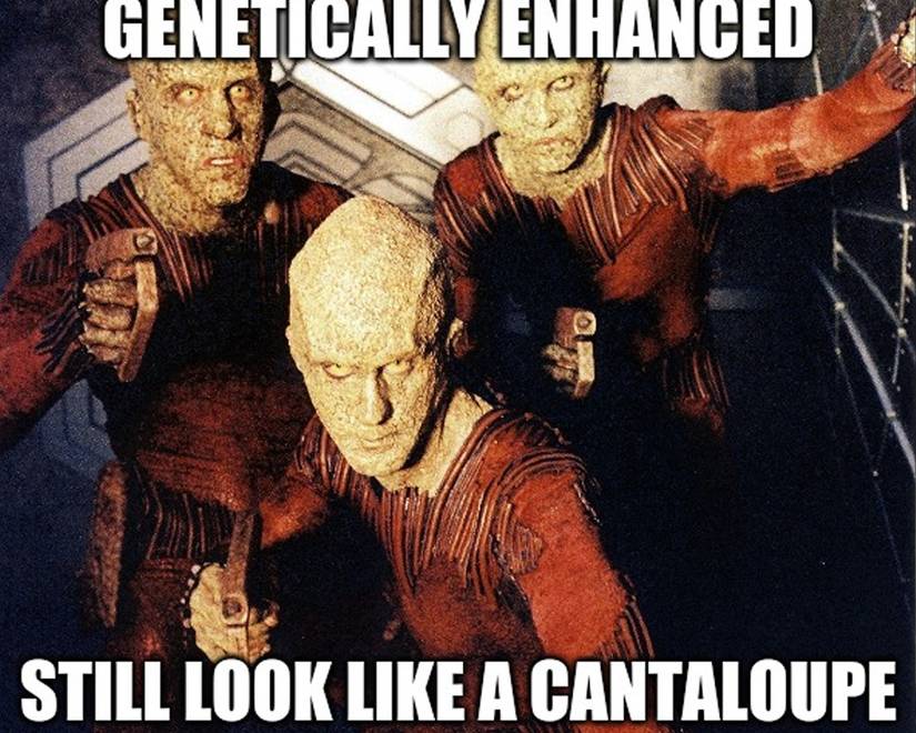 Star Trek: 10 Enterprise Memes That Are Hilariously True