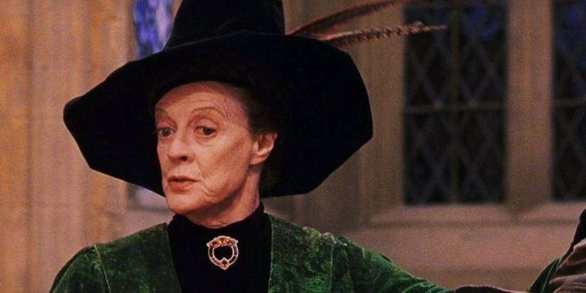 professor mcgonagall sorting hat
