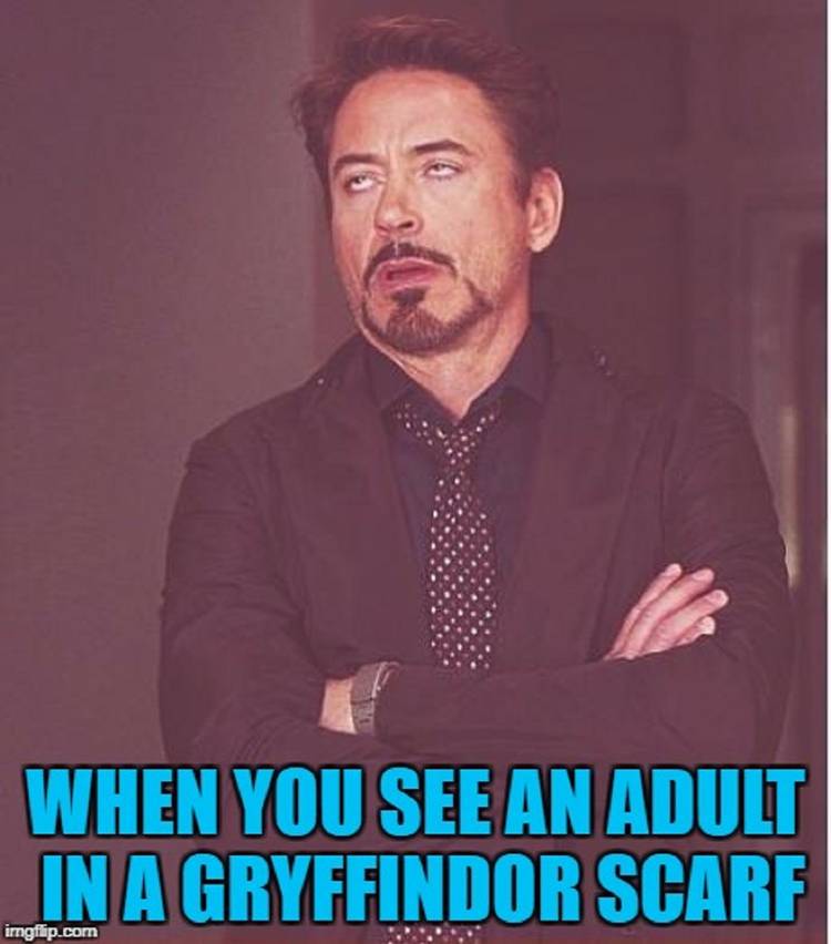 Harry Potter: 10 Hilarious Gryffindor Memes That Are Too Funny