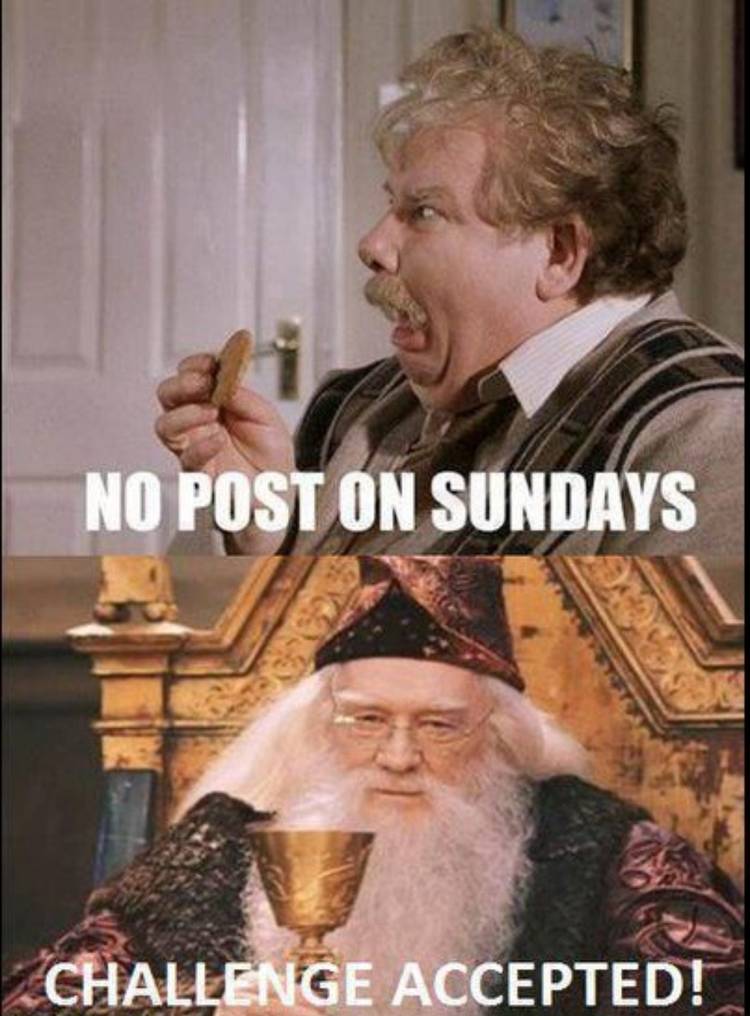 Harry Potter: 10 Hilarious Dumbledore Memes Only True Fans Will Understand