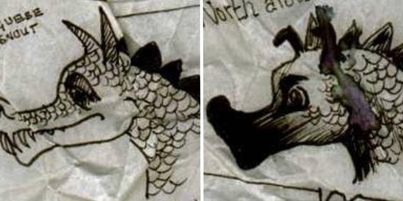 Harry Potter: All 10 Dragons In The Wizarding World