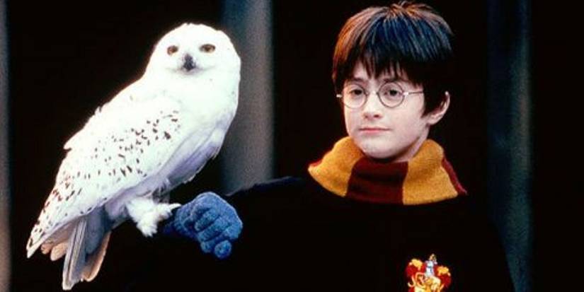 Harry Potter: 10 Things You Didn’t Know About Hedwig