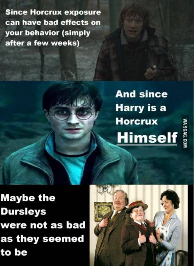 Harry Potter: 10 Hysterical Dursley Logic Memes