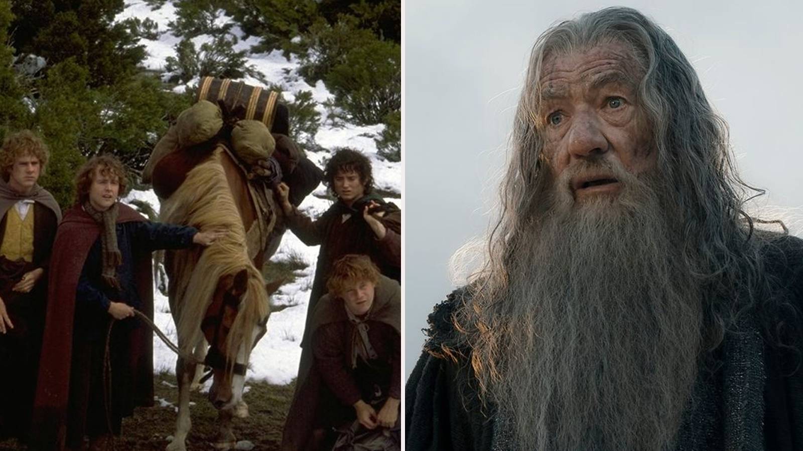 The Lord Of The Rings: 10 Behind-The-Scenes Secrets You Never Knew ...