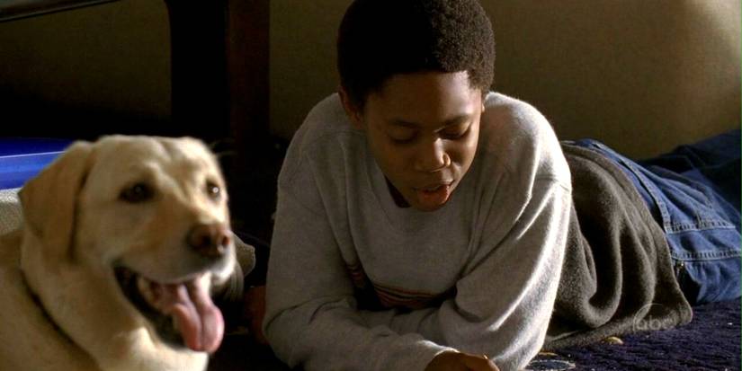 Lost: The Important Post-Finale Reunion We Never Got To See