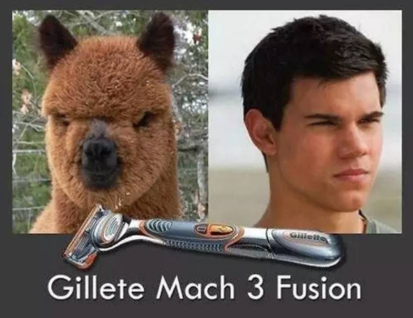 Twilight: 10 Hilarious Jacob Memes That Are Too Funny