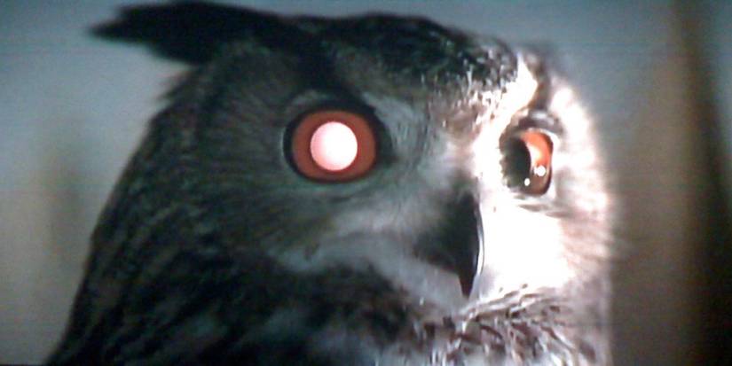 Blade Runner: What The Animals Mean