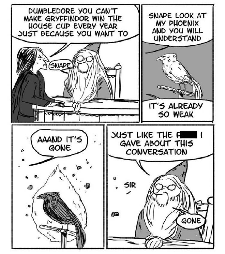 Harry Potter: 10 Hilarious Gryffindor Memes That Are Too Funny