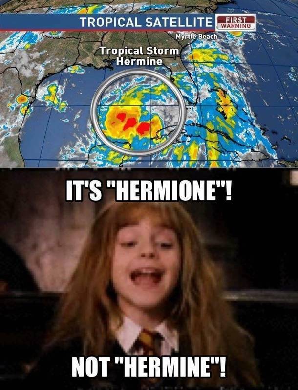Harry Potter: 10 Hilarious Hermione Memes Only True Fans Will Understand