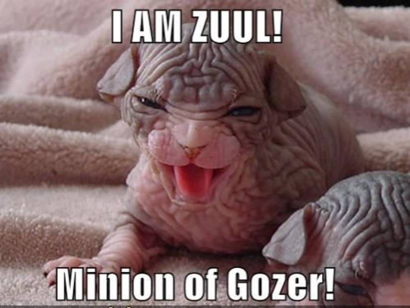 10 Ghostbusters Memes That Are Too Hilarious For Words