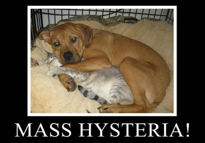 10 Ghostbusters Memes That Are Too Hilarious For Words