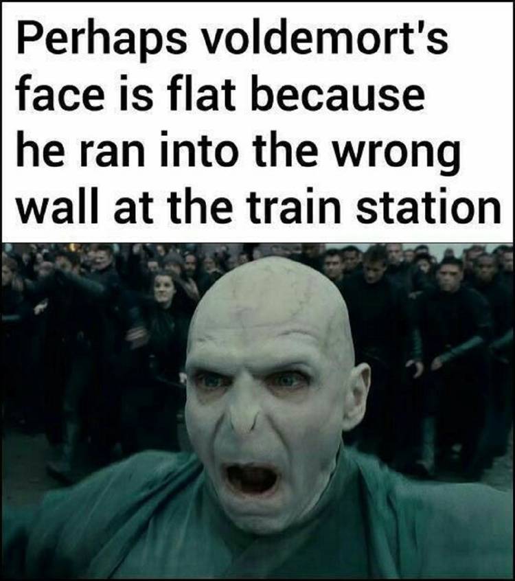 Harry Potter: 10 Hilarious Voldemort Logic Memes That Are Too Funny