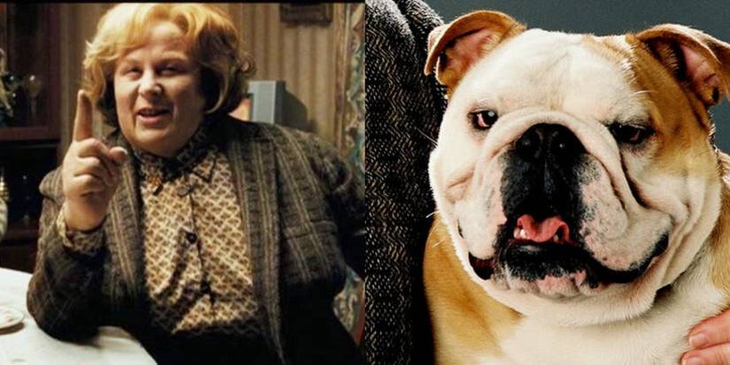 Harry Potter: 15 Most Helpful Pets, Ranked