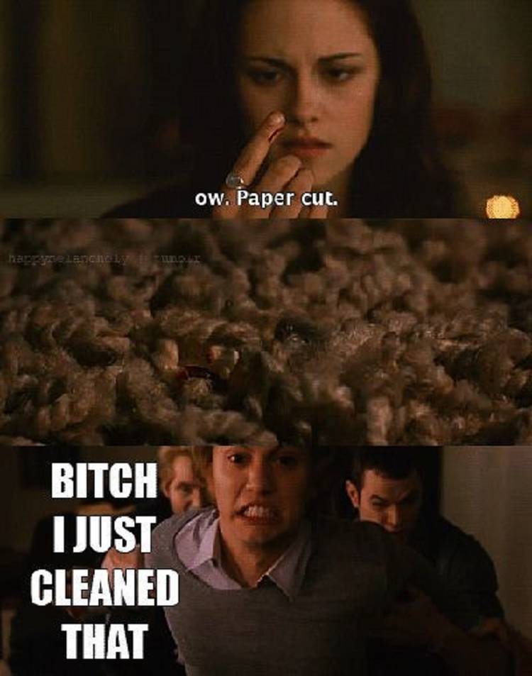 Twilight: 10 Hilarious New Moon Memes Only True Fans Will Understand
