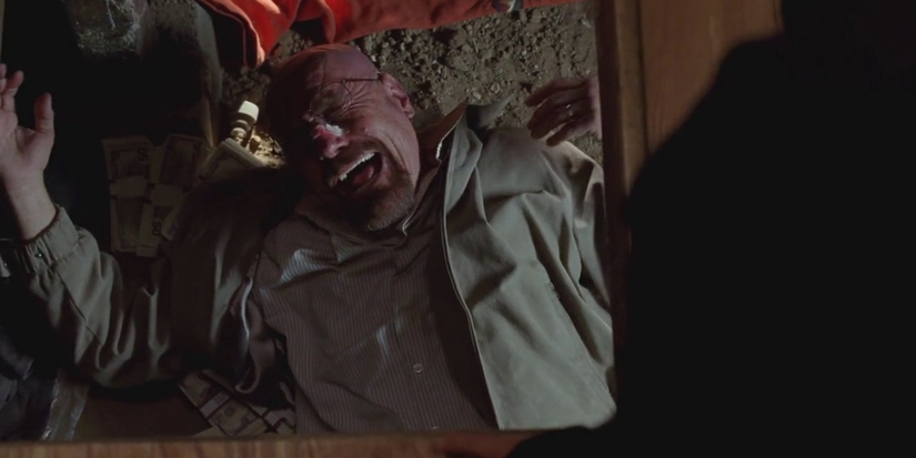 Breaking Bad: 5 Reasons Why Fly Is The Best Episode (And 5 Less ...