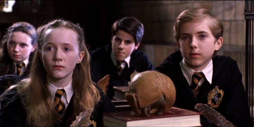 Harry Potter: The 10 Most Admirable Hufflepuff Traits (& The 10 Worst)