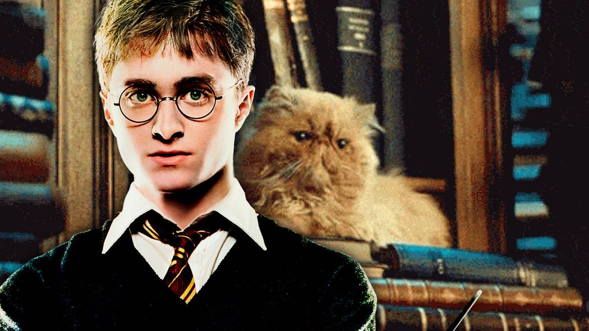Harry Potter Theory: Hermione’s Cat Belonged To The Potters