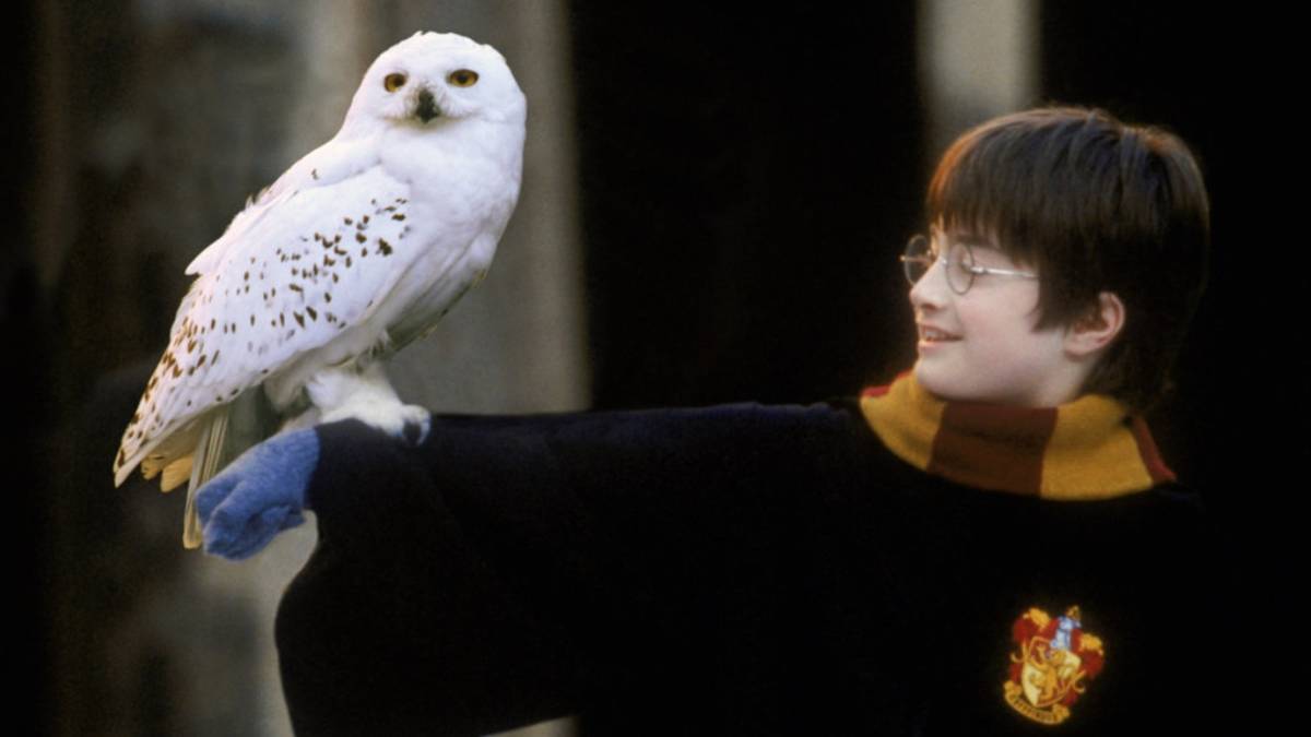 Harry Potter Remake Series’ New John Williams Replacement Officially ...
