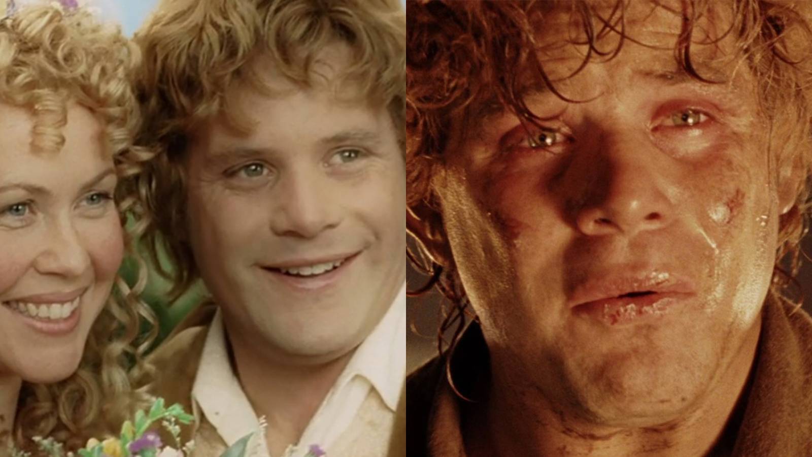Lord Of The Rings: 15 Best Samwise Gamgee Quotes