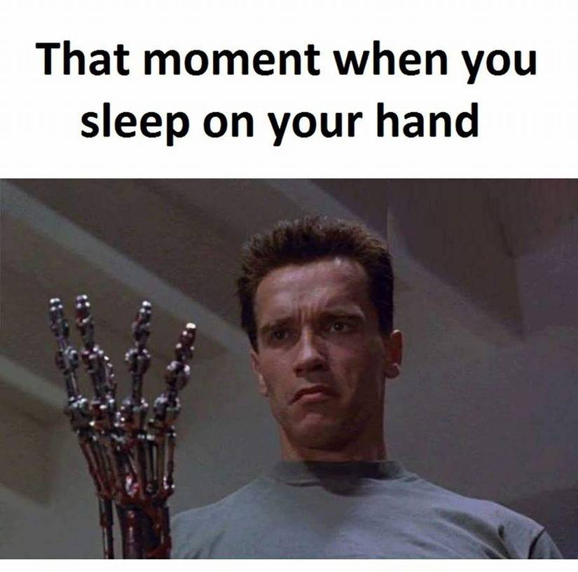 Terminator: 10 Hilarious Memes Only True Fans Will Understand