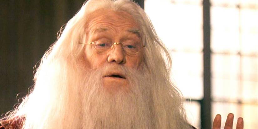 Harry Potter: 10 Quotes From The Movies That Prove Gryffindor Is The ...