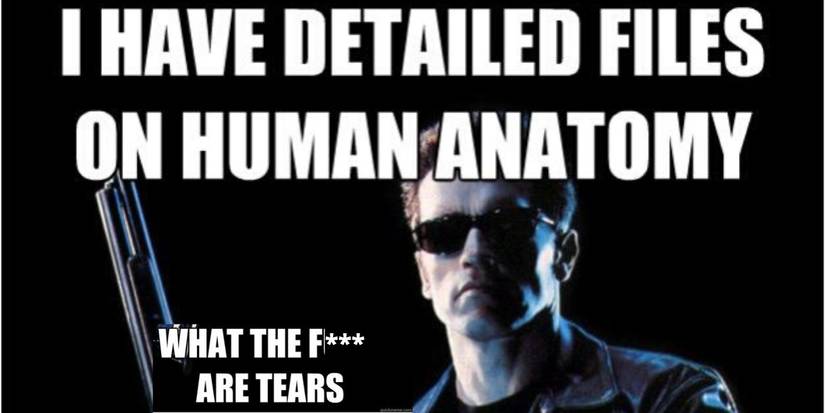 10 Terminator Logic Memes That Are Too Hilarious For Words