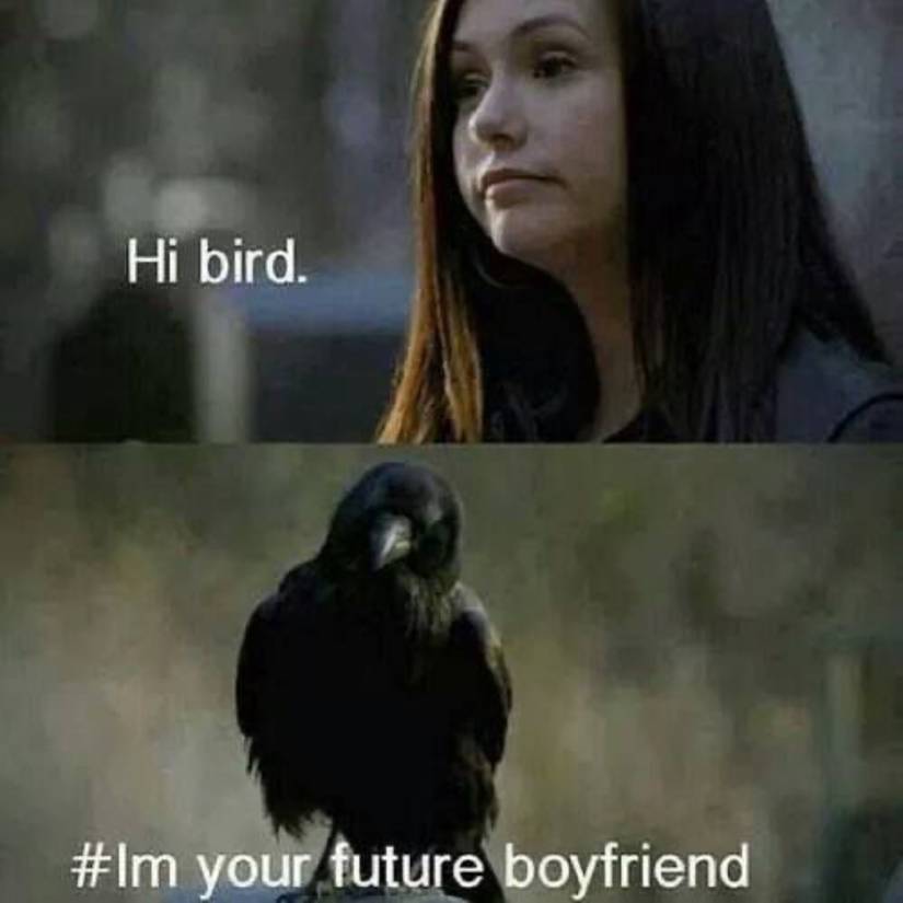 The Vampire Diaries: 10 Hilarious Elena Memes That Only True Fans Will ...