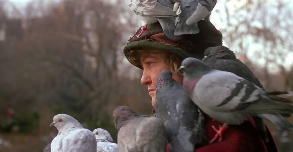 Can You Play Game Pigeon By Yourself - truemfiles