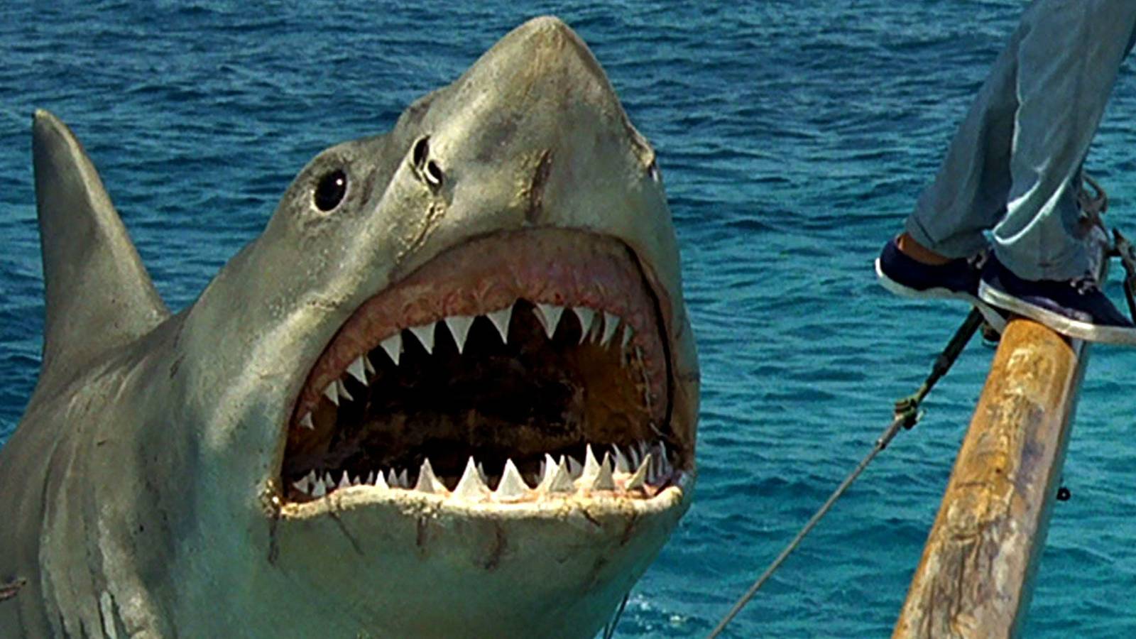 Jaws’ Shark Is A Voodoo Curse, According to The Revenge’s Novelization