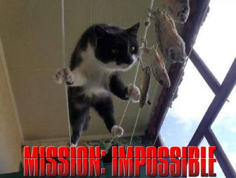 10 Mission Impossible Memes That Are Too Hilarious For Words