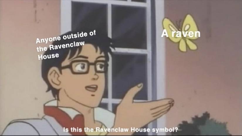 Harry Potter: 10 Hilarious Memes Only A True Ravenclaw Would Understand