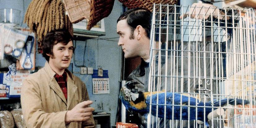 The 10 Best Monty Python’s Flying Circus Skits & Sketches, Ranked