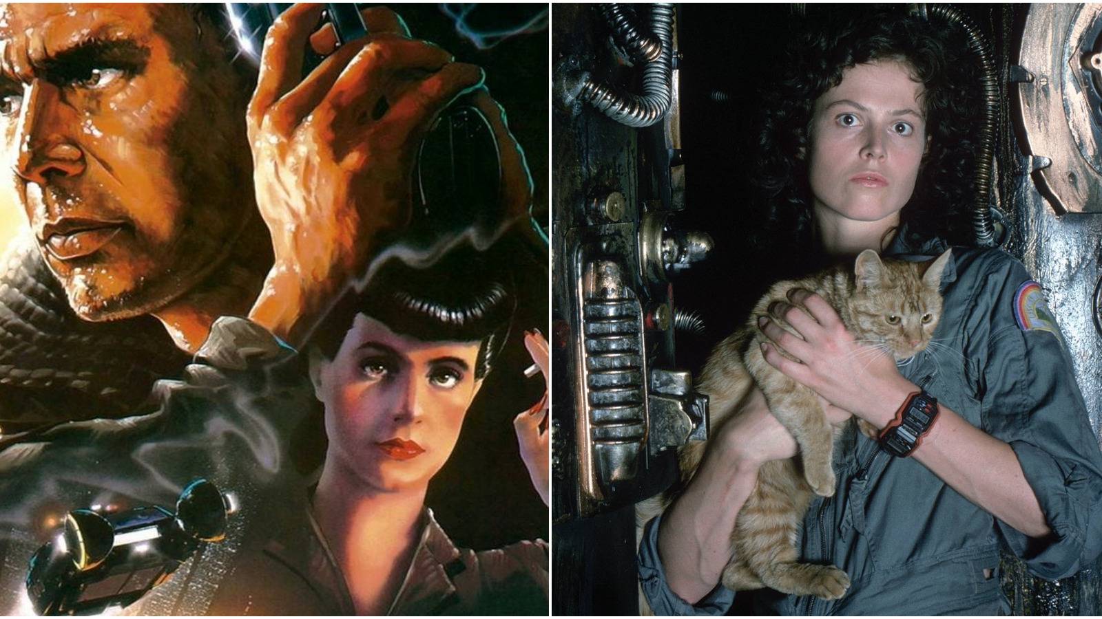 10 Sci-Fi Classics That Are Actually Worth Owning On Blu-Ray