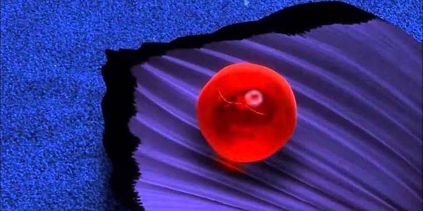 Finding Nemo's 5 Funniest (& 5 Saddest) Moments