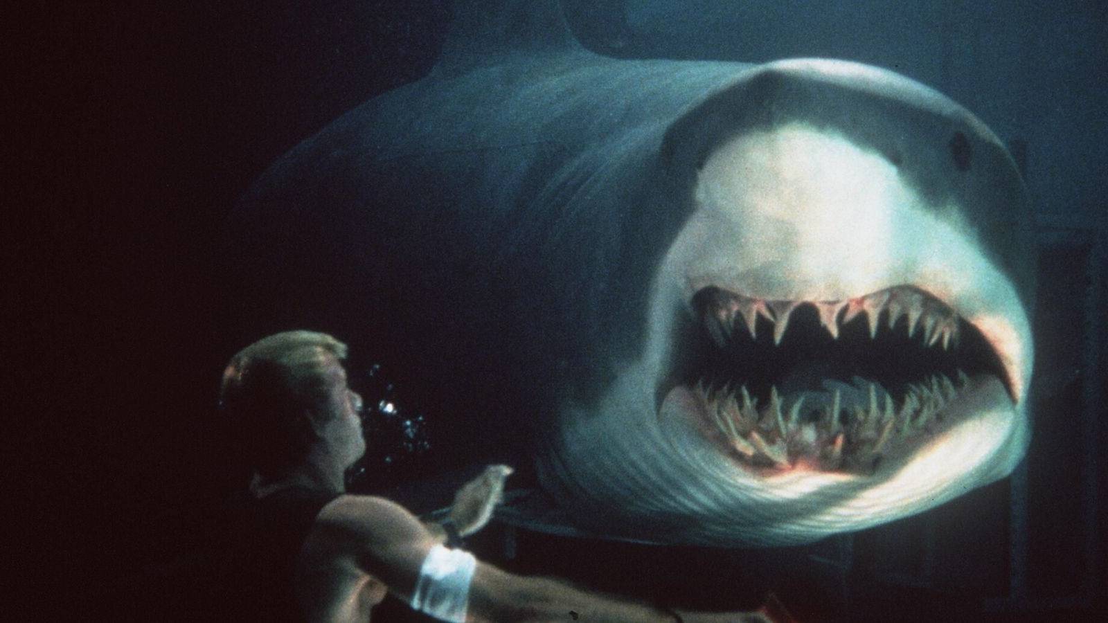 The 5 Best (& 5 Worst) Shark Movies Of All Time