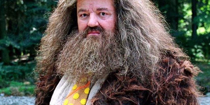 Harry Potter: 10 Hidden Details About Hagrid's Costume