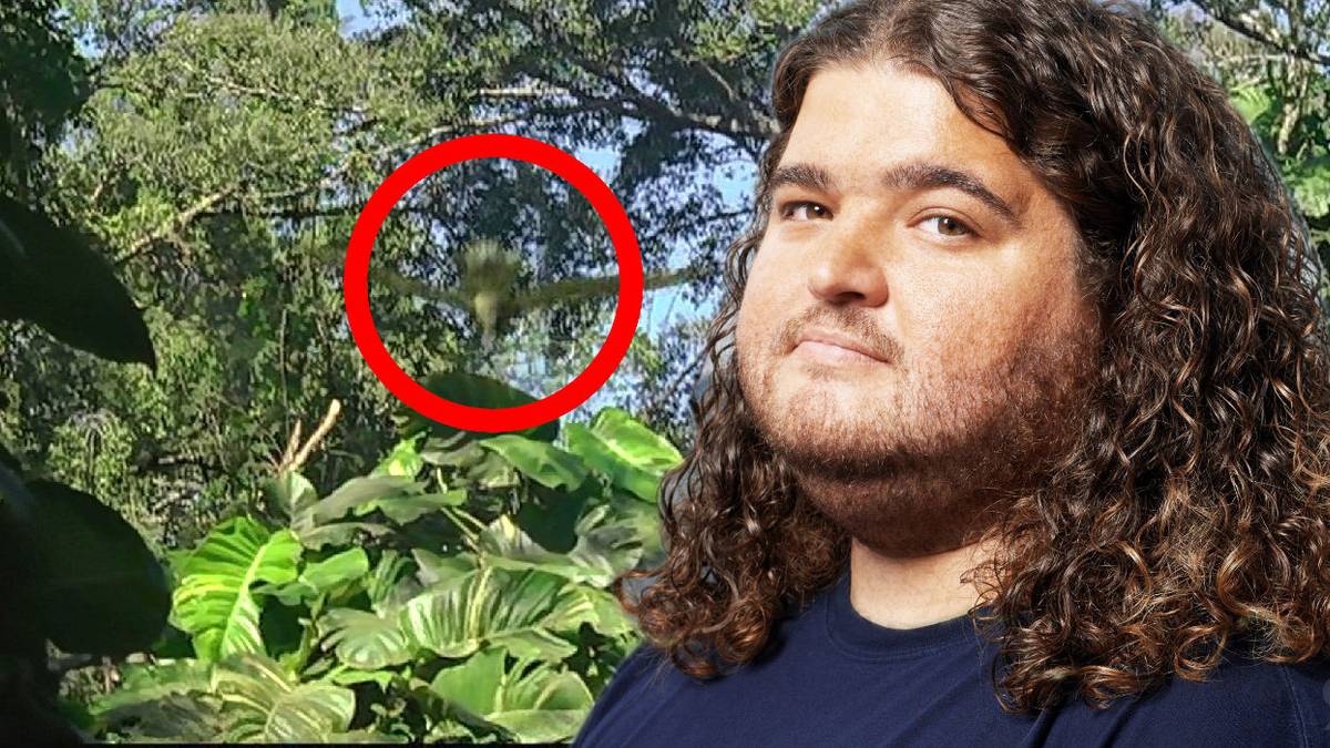Lost: The Mysterious Hurley Bird Explained By The Epilogue