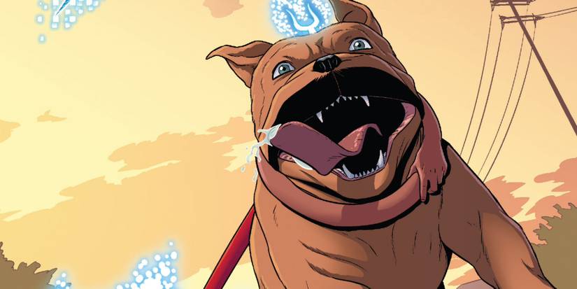 Super-Pets: The 10 Best From DC & Marvel