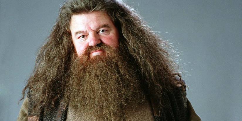 Harry Potter: 10 Hidden Details About Hagrid's Costume