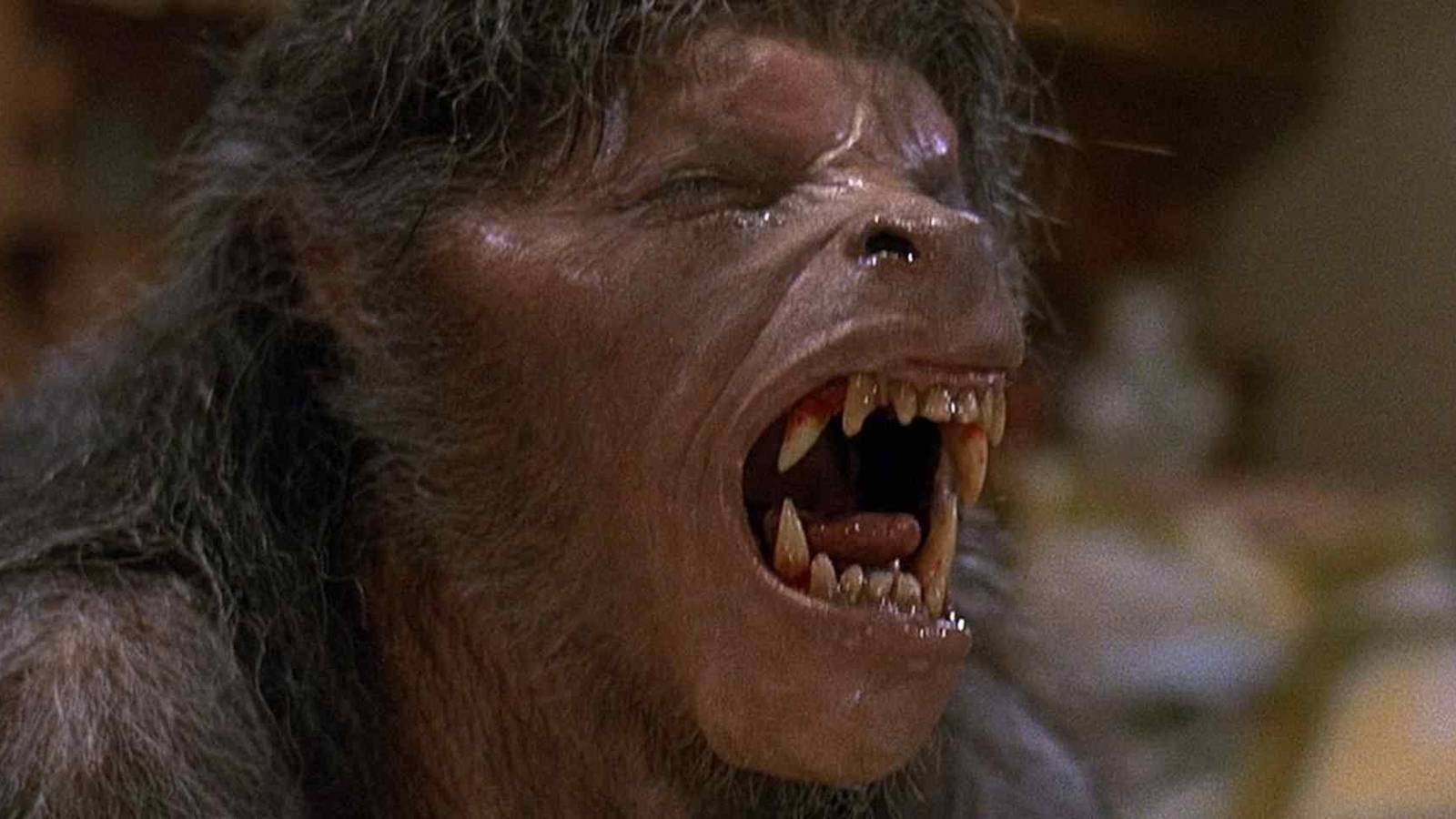 10 Best Werewolf Movies, Ranked By Rotten Tomatoes Score