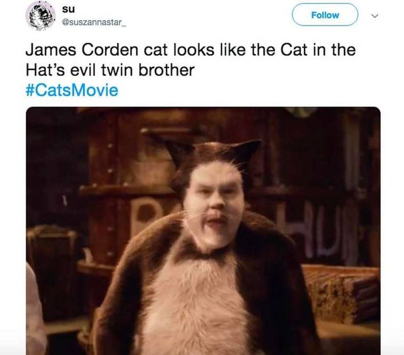 10 Hilarious Memes About Cats (2019) That Will Make You Laugh