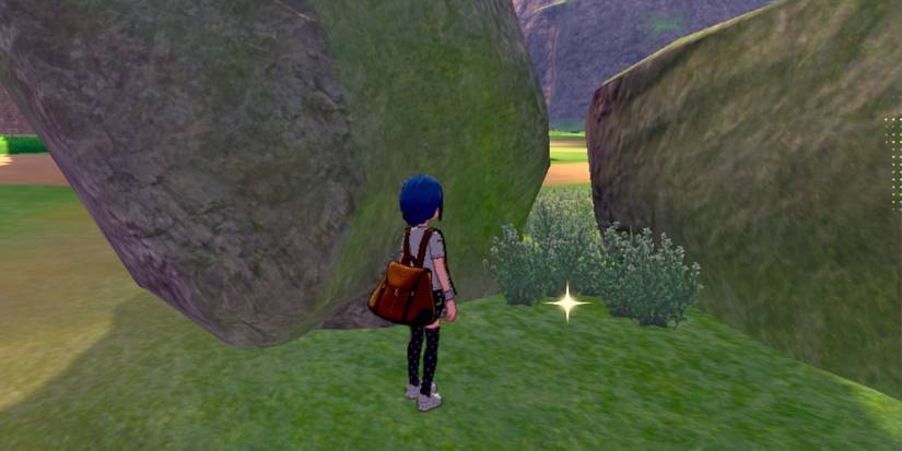 How to Find (& Catch) Shiny Orbeetle in Pokémon Sword & Shield