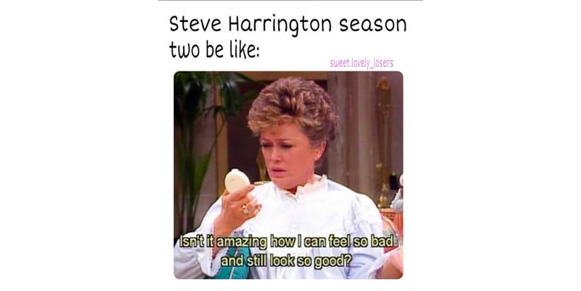 Stranger Things: 10 Hilarious Steve Harrington Memes That Will Make You LOL