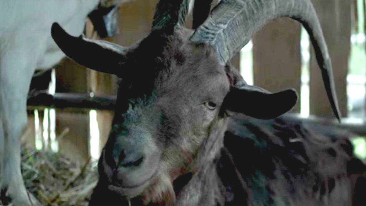 The Witch's Black Phillip Almost Killed One Of The Movie's Actors